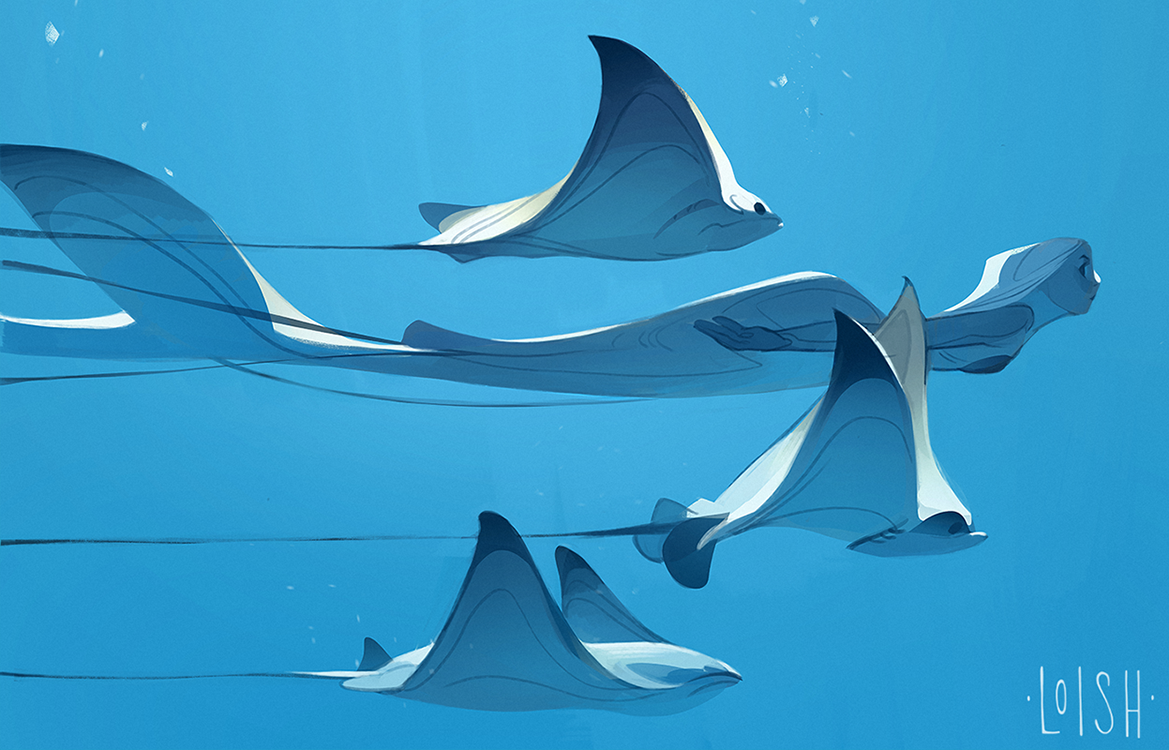 El arte digital de Loish: un viaje de creatividad y color… – Phusions